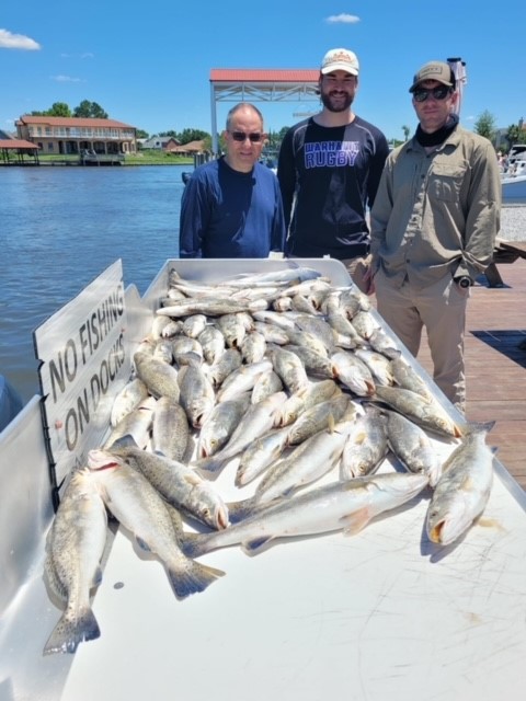 Gallery - A Fishing Fool